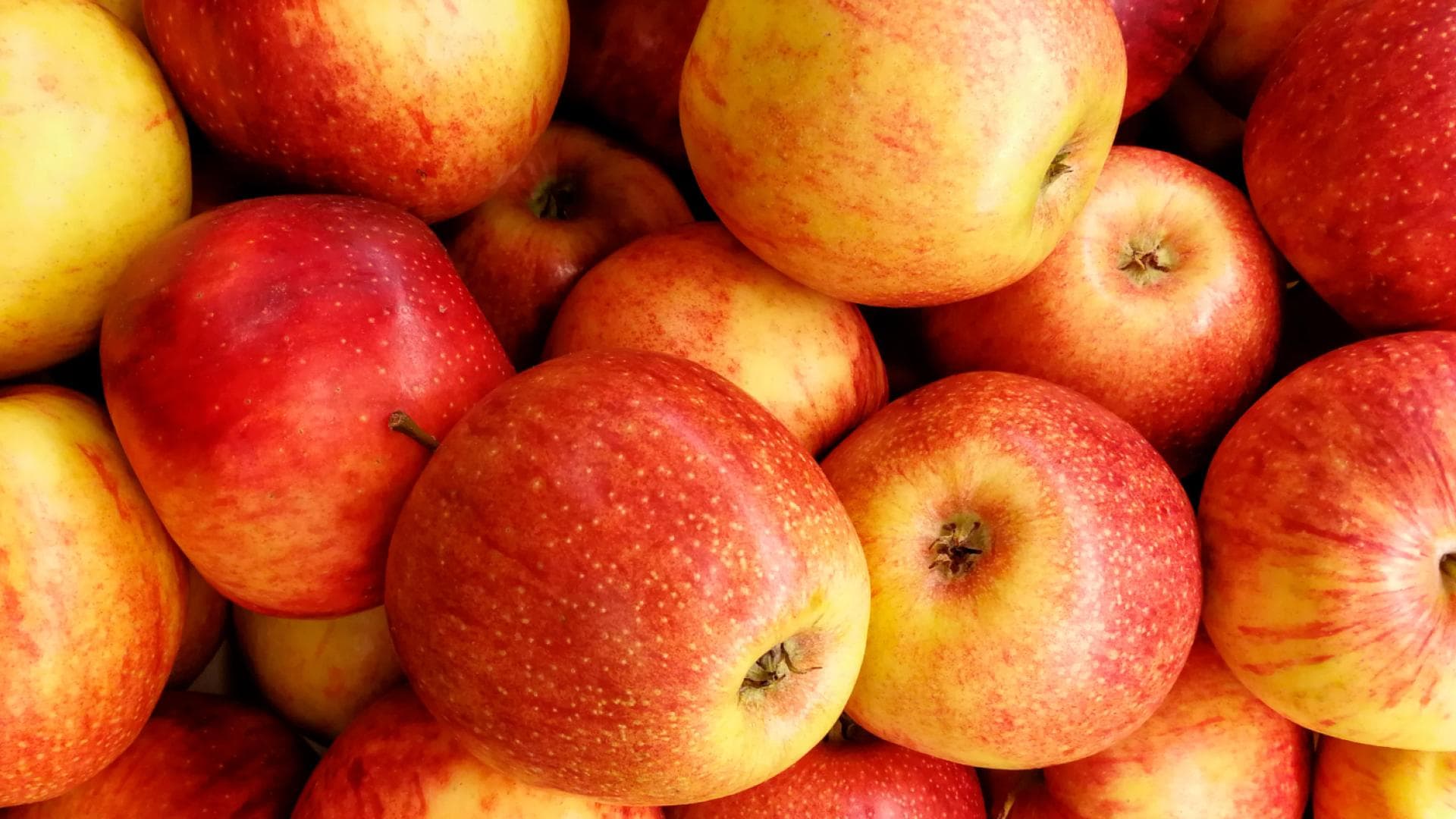 Das passiert, wenn Sie jeden Tag einen Apfel essen