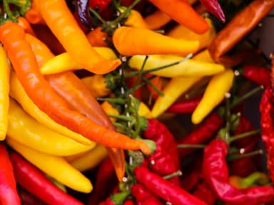 Peperoni einlegen: So geht's