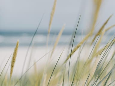 Reise-Trends 2022: 4 versteckte Perlen an der Ostsee