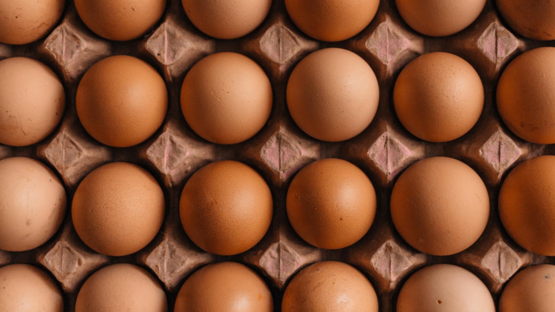 Gesundheit: Wie viele Eier darf man pro Tag essen?