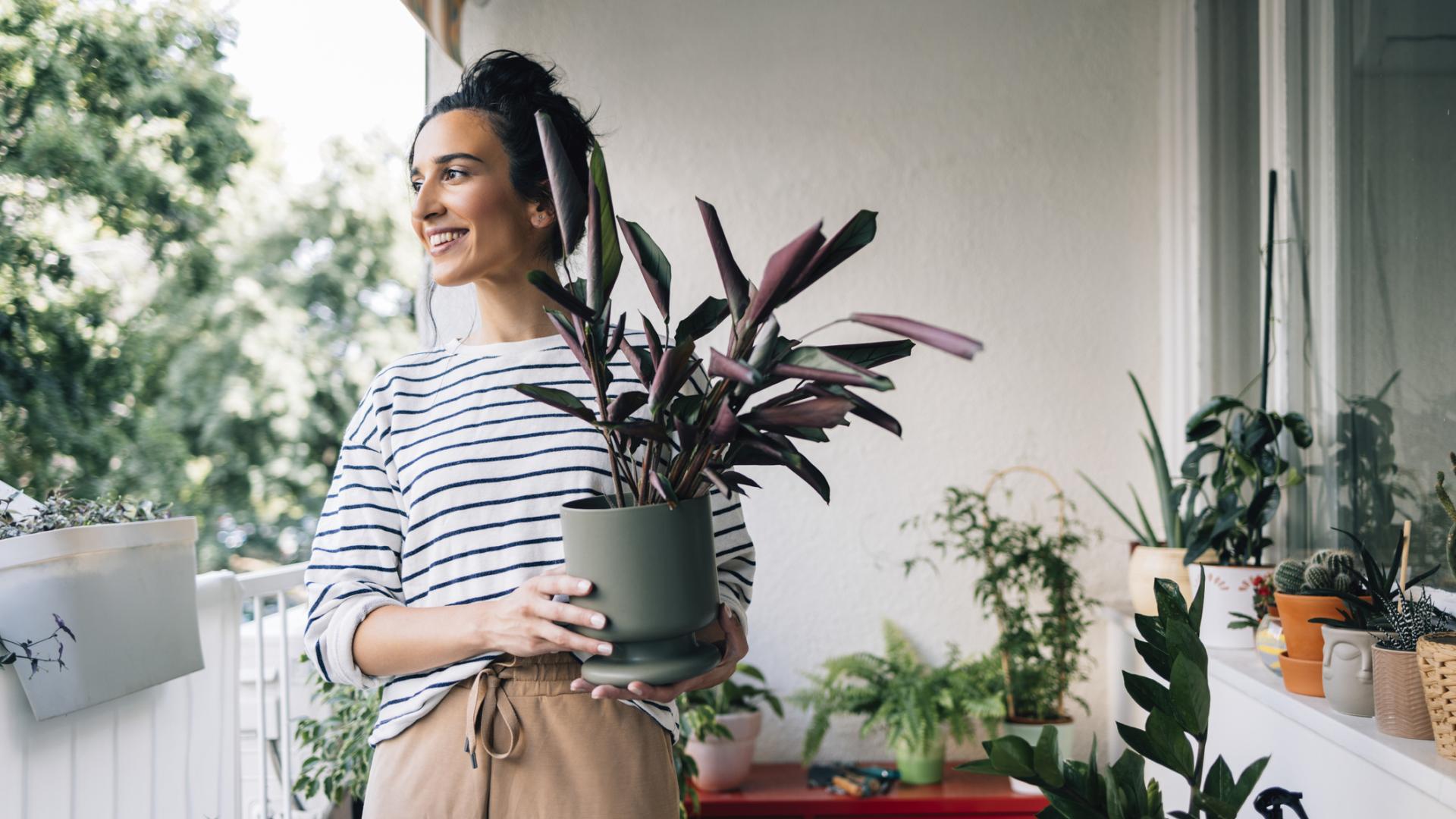 Balkon gestalten: 3 Dinge, die im Sommer zu tun sind