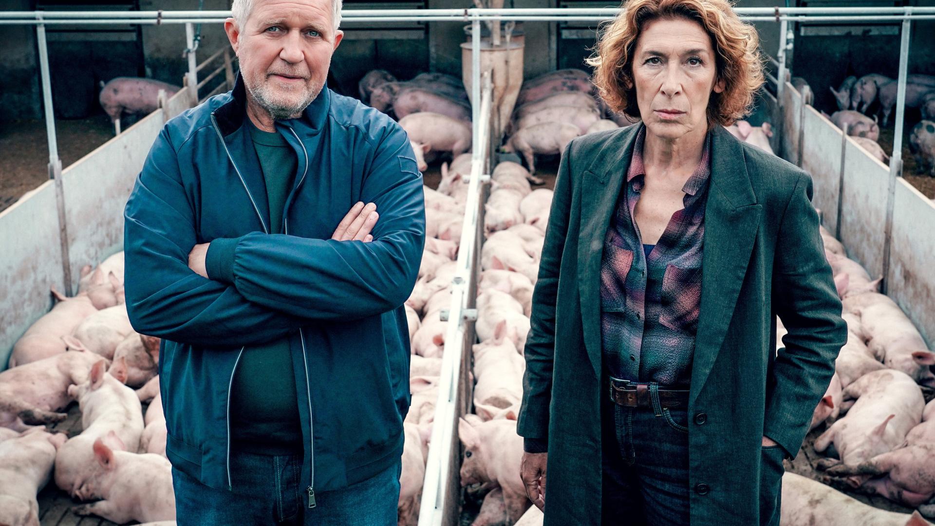 "Tatort" am Sonntag