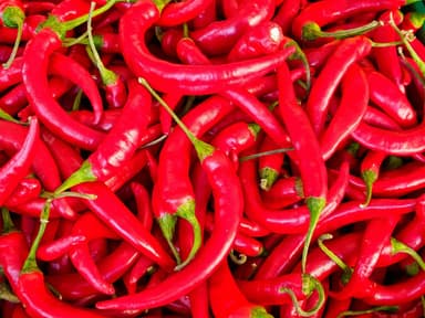 Peperoni einlegen: Anleitung und Rezept