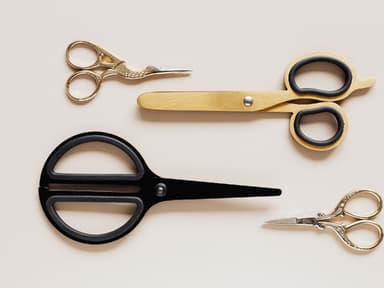 Stumpfe Schere: Mit diesem Trick wird sie in Sekunden wieder scharf