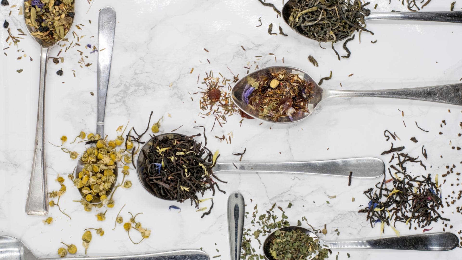 Die besten Tees für ein starkes Immunsystem