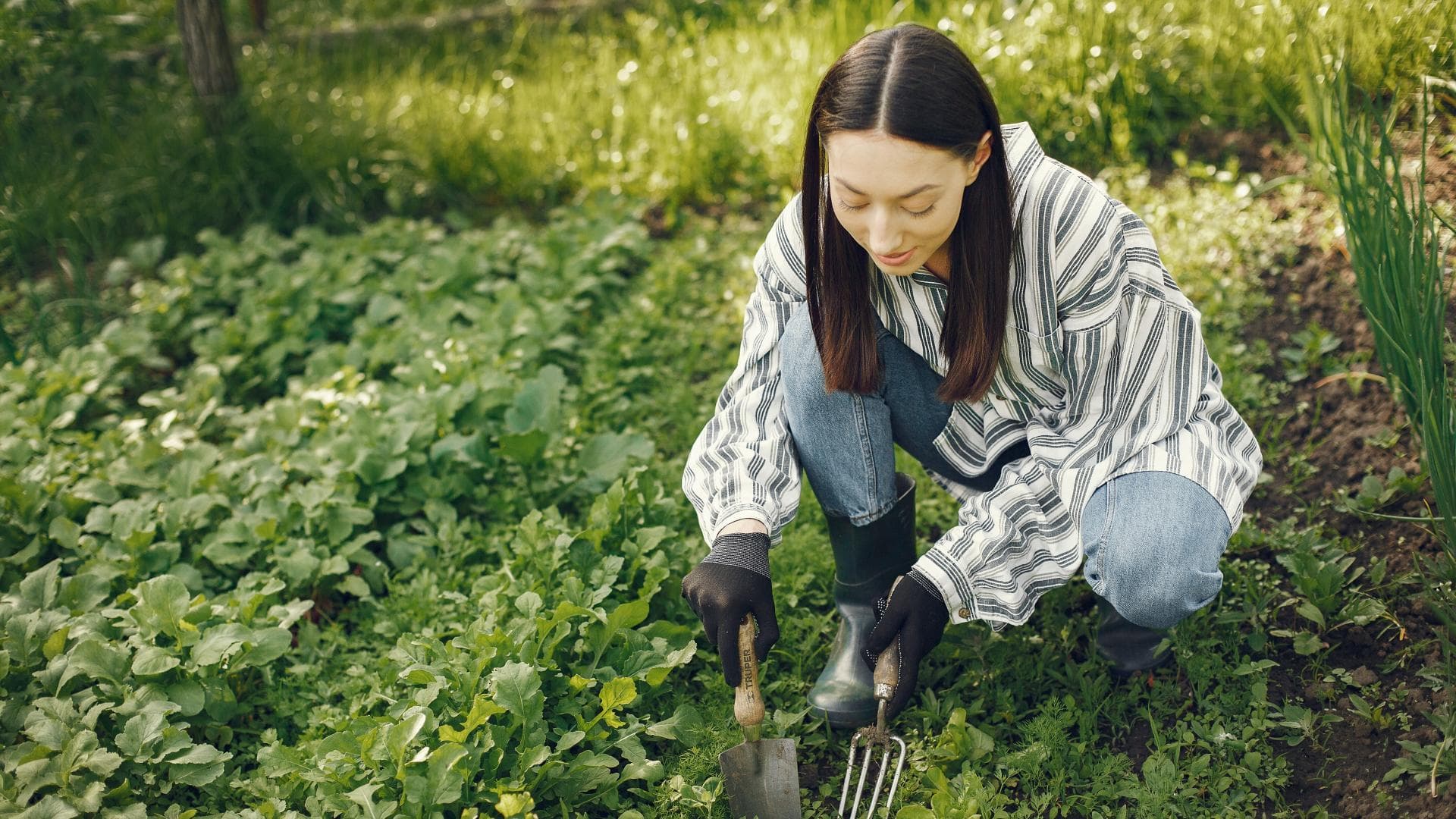 Sauren Boden neutralisieren: Schritt für Schritt erklärt
