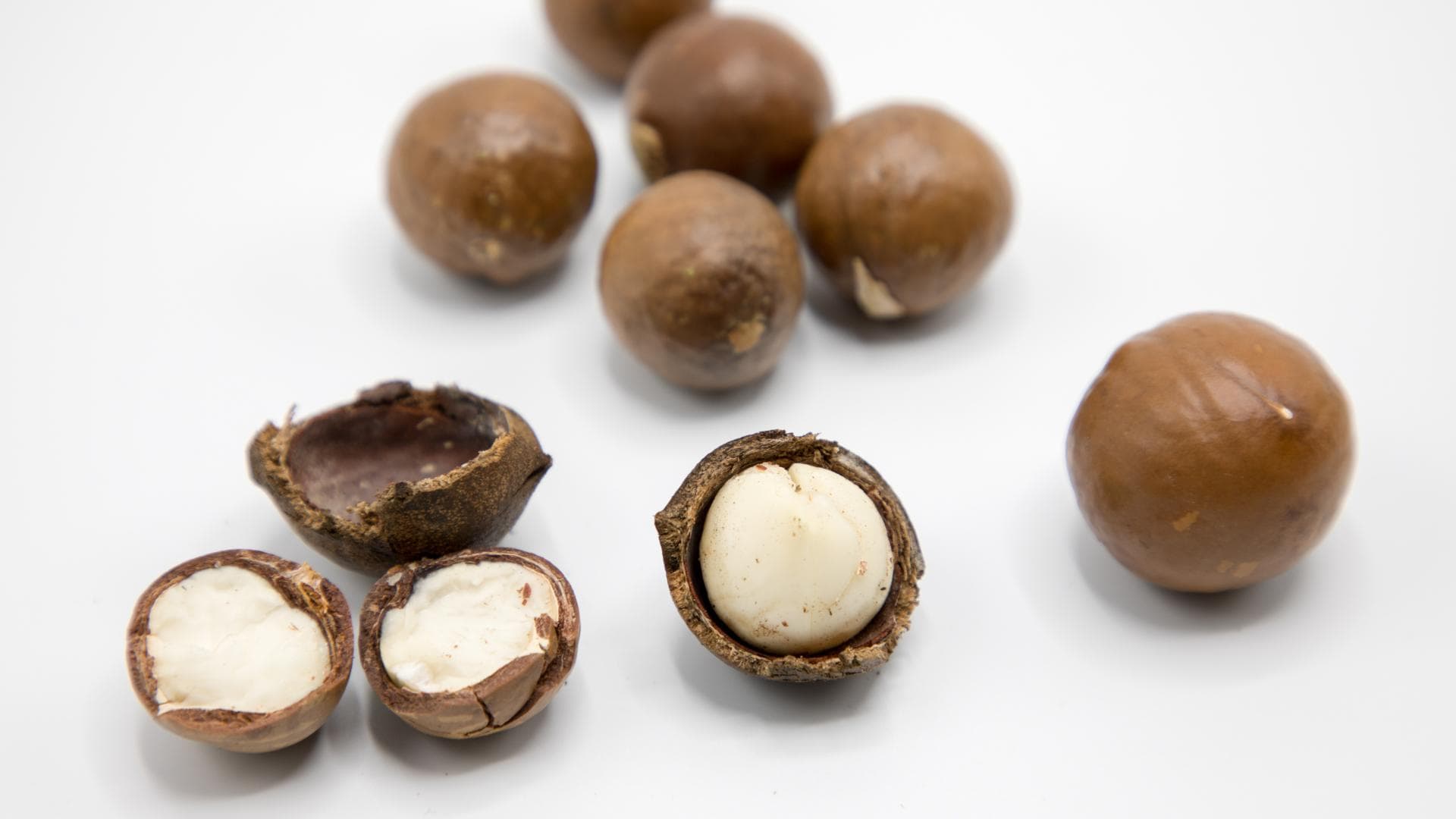 Macadamia: Ist die Königin der Nüsse wirklich gesund?