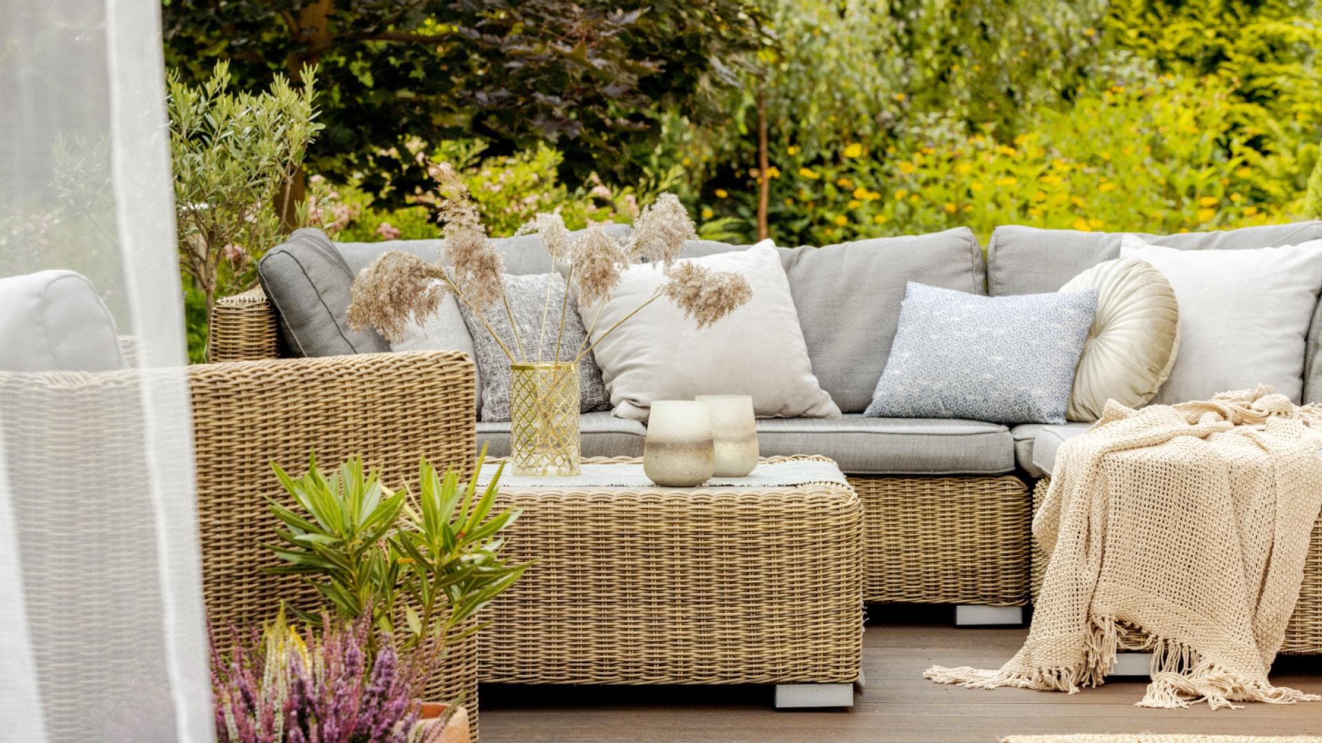 5 Pflanzen sind der perfekte Sichtschutz für die Terrasse