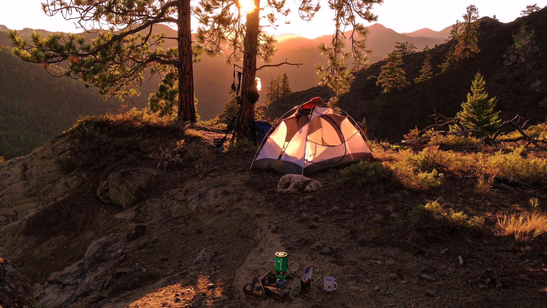 Camping 2023: So sichern Sie das Zelt vor Einbrüchen