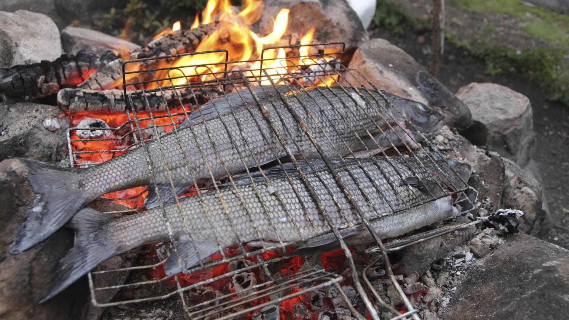 Fisch grillen: Leckere Rezepte